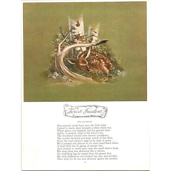 None and/or Unknown | Other | Forest Incident Ruby Lee Mitchell 97s ...